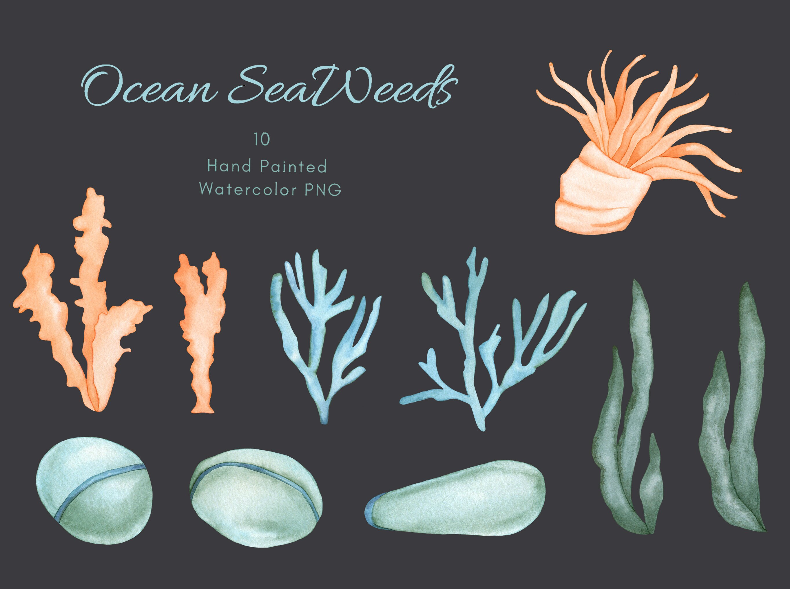 Watercolor Underwater Seaweed Clipart, Marine Plants, Corals, Sea ...