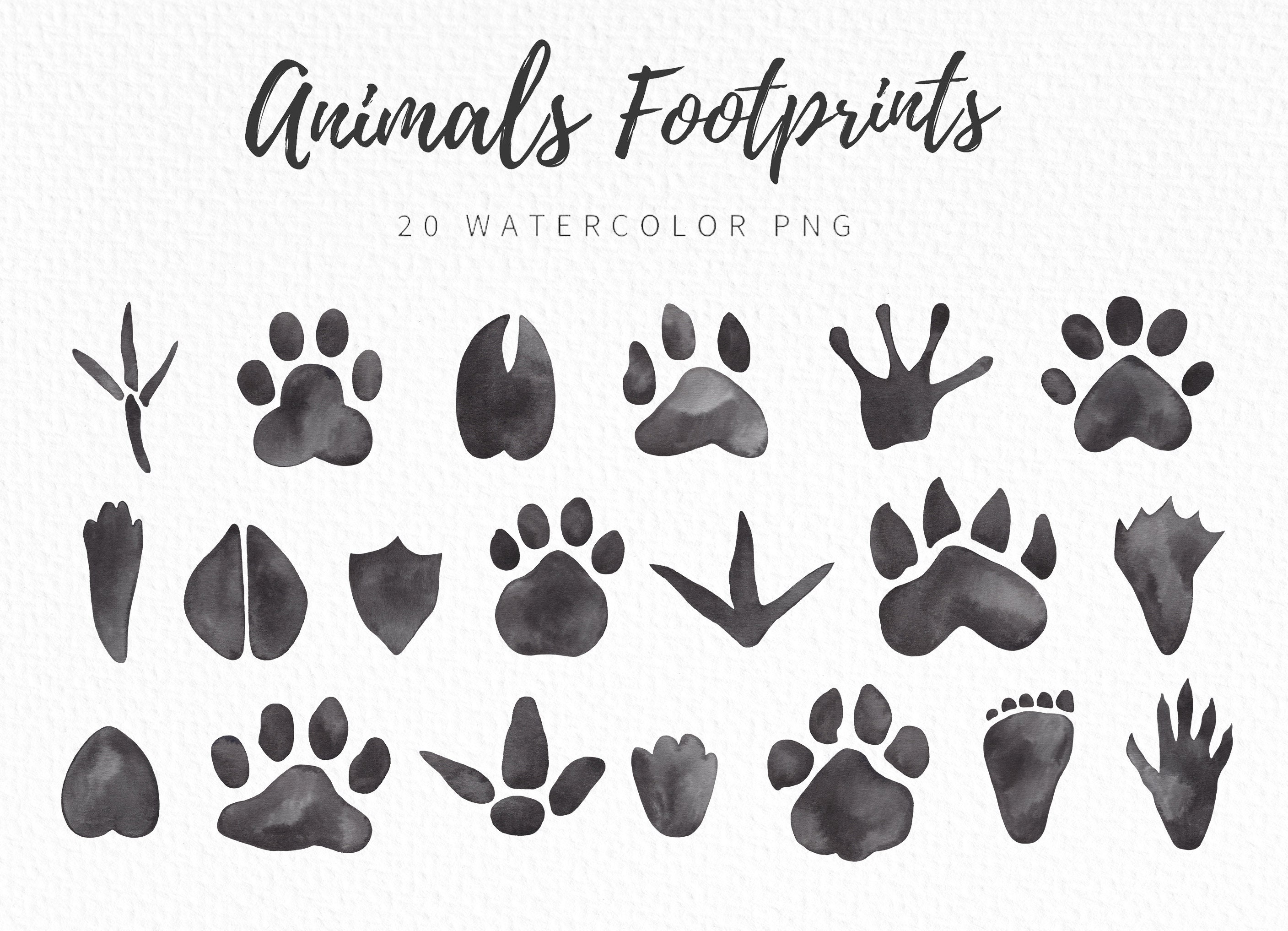 Watercolor Animal Paw Prints