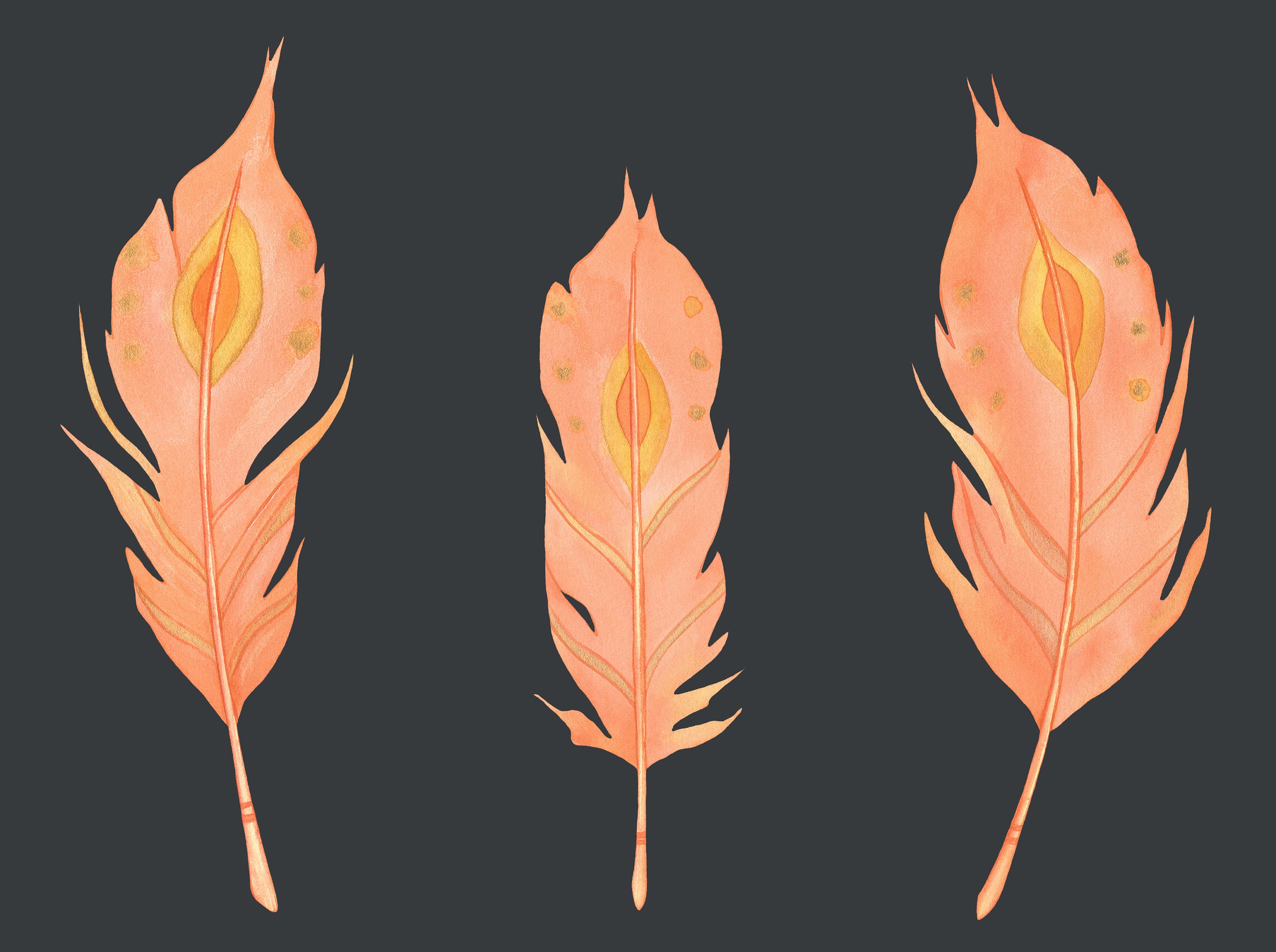 Watercolor Phoenix Feathers Clipart, Decorative Orange Feathers PNG - Etsy