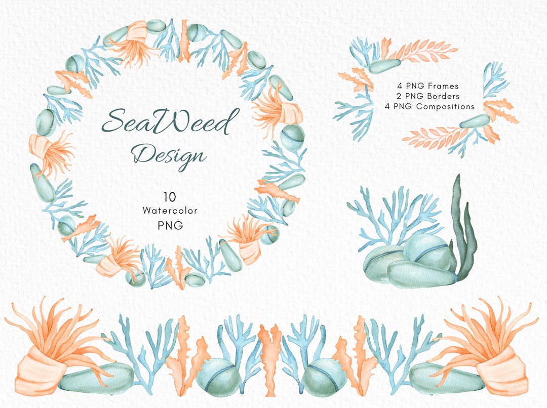 Watercolor Underwater Seaweed Frames Clipart Marine Plants - Etsy