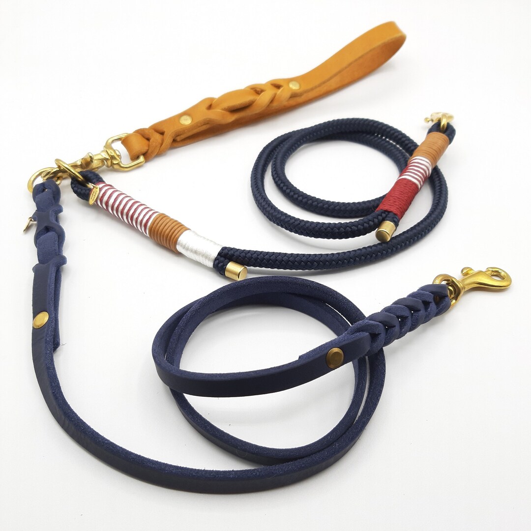 Dog Leash, Combi Leash (grease Leather or Rope) Consisting of Hand ...