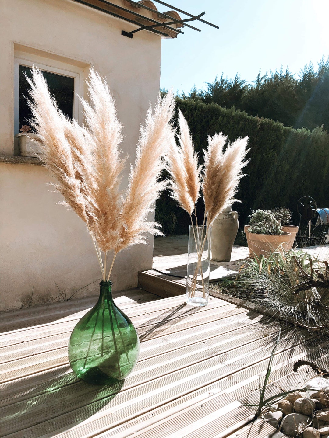 Pampas séchées naturelles 90cm à 110/115cm Herbe de la pampa - Etsy France