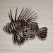 Lion Fish Sign Wall Decor Wall Art Interior Design Wall Hanging Metal ...