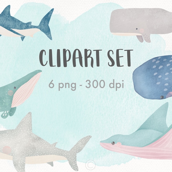 Grey Whale Clip Art - Etsy