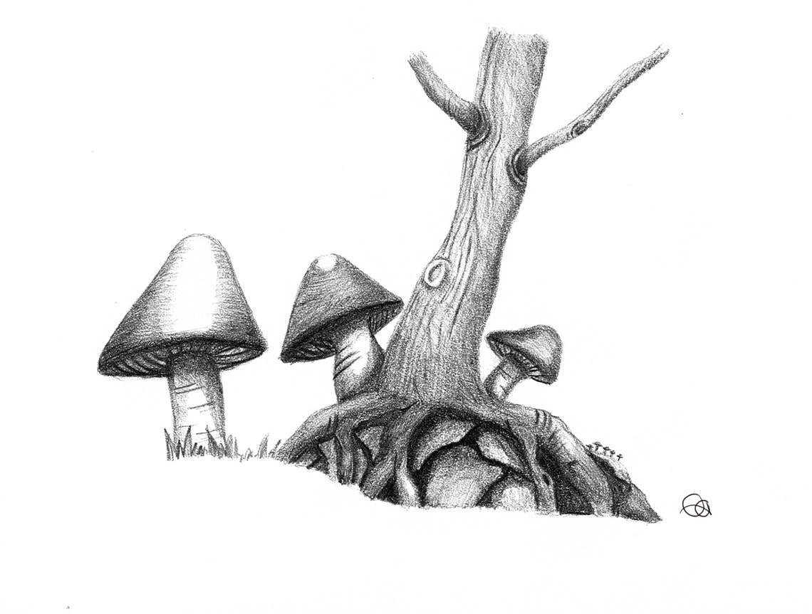 FINE ART giclée print. Tree and mushroom graphite drawing | Etsy