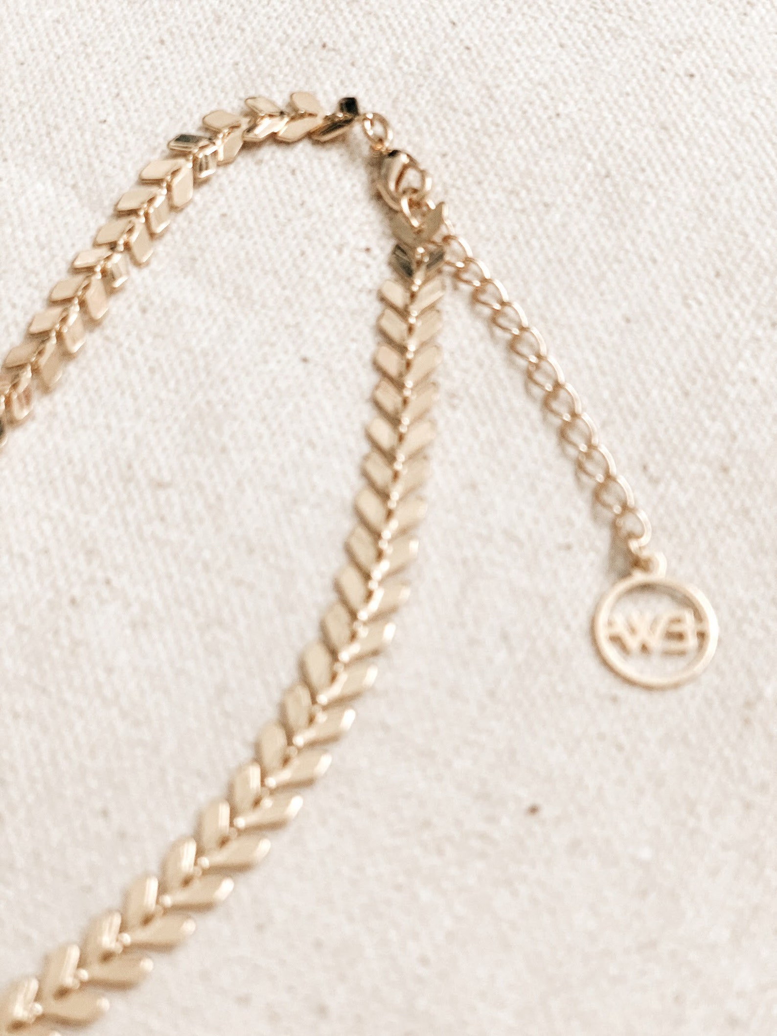 Choker Necklace Gold Simple Choker Gold Choker Fishbone Chain Choker ...