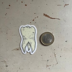 Tooth Vinyl Sticker - Etsy