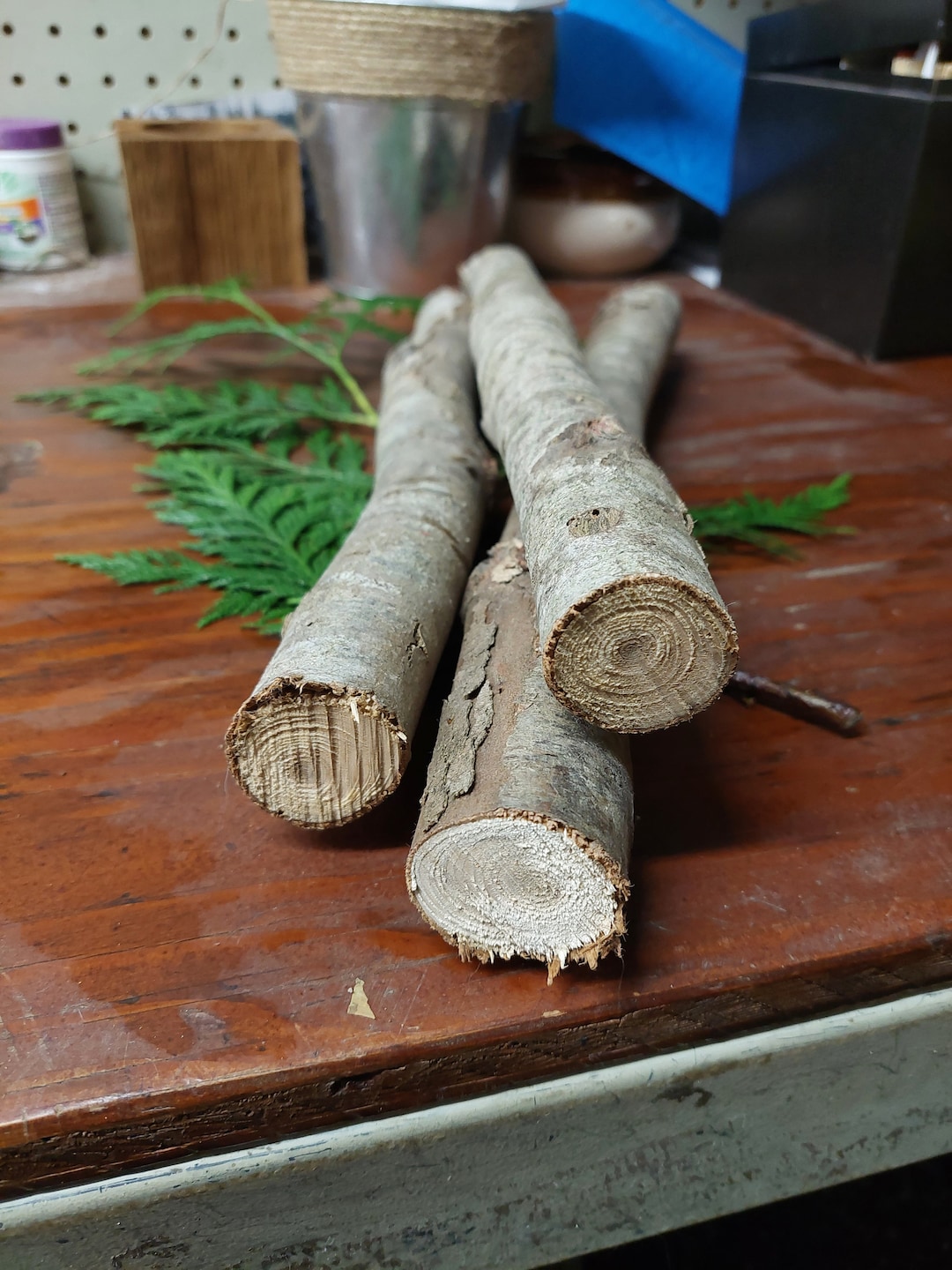 Large Cedar Wood Sticks (1.25"-2" Diameter) 3 Pcs - 12" Length - Etsy