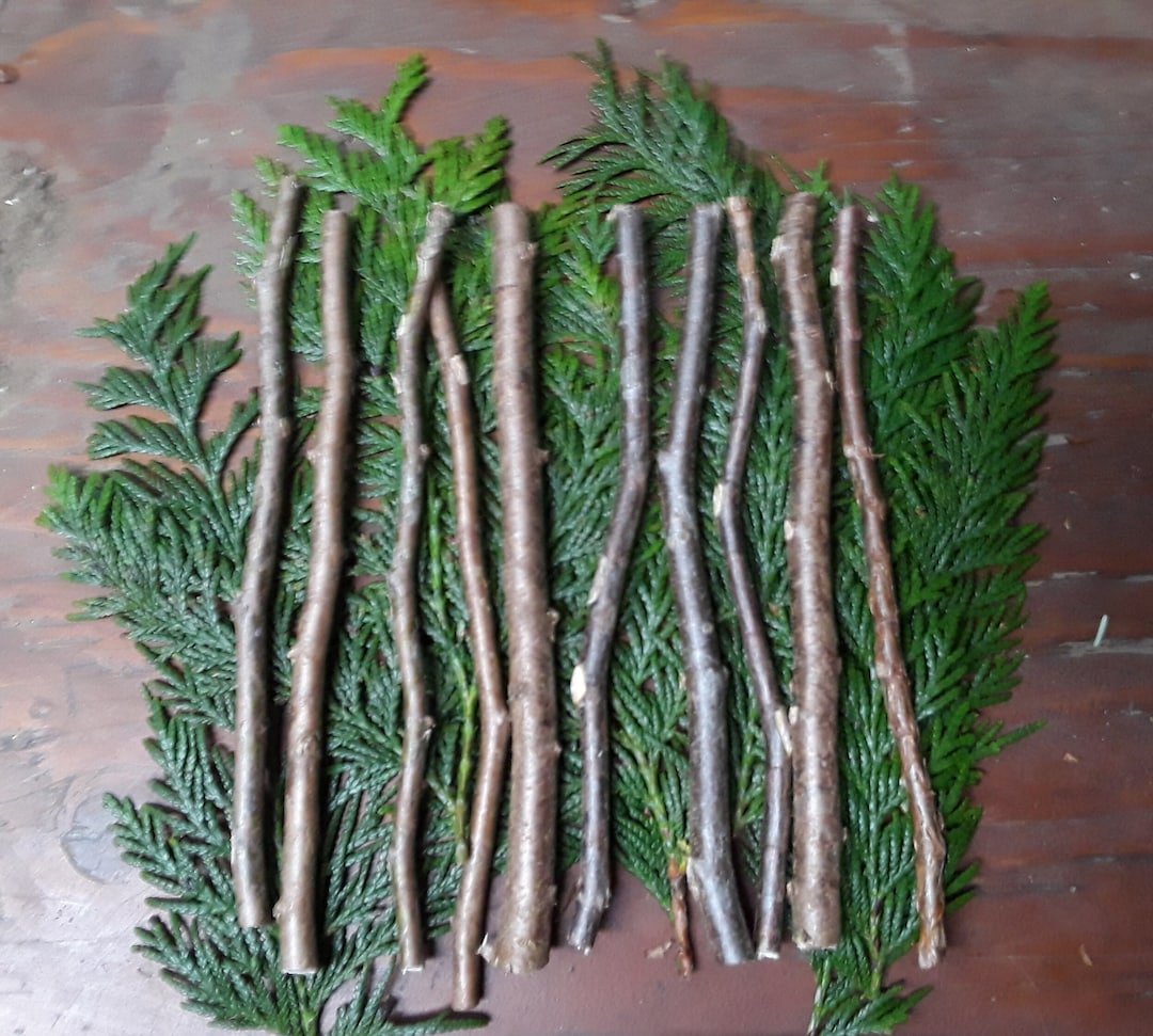 Western Red Cedar Sticks - Great for Crafting, Model Trains, Decor (10 ...