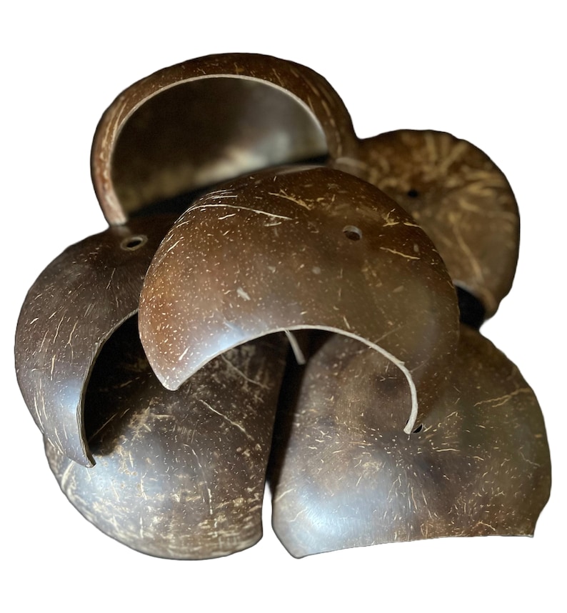 Coconut Shell Aquarium Cave: Natural Fish Hideaway - Etsy