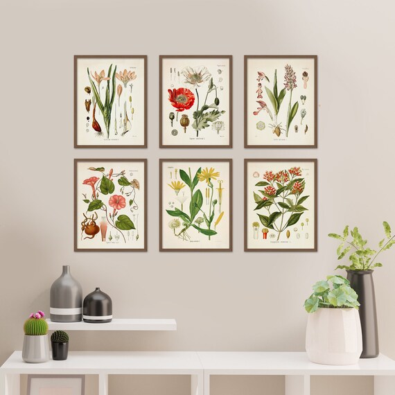 PRINTED Vintage Flower Wall Art Print 8x10 | Etsy