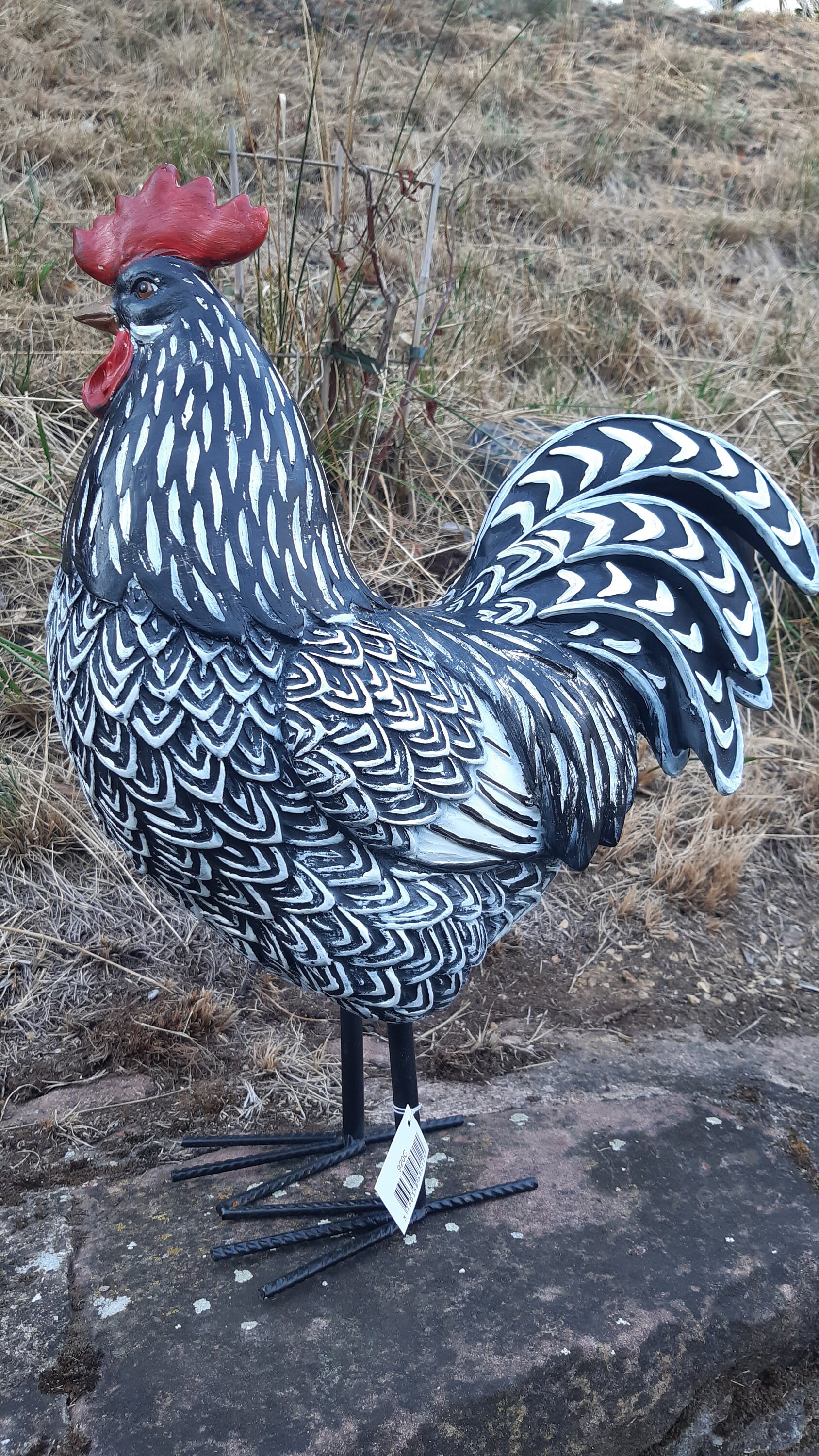 Chicken Rooster Chicken Realistic Figurine Made in France Hand-painted ...