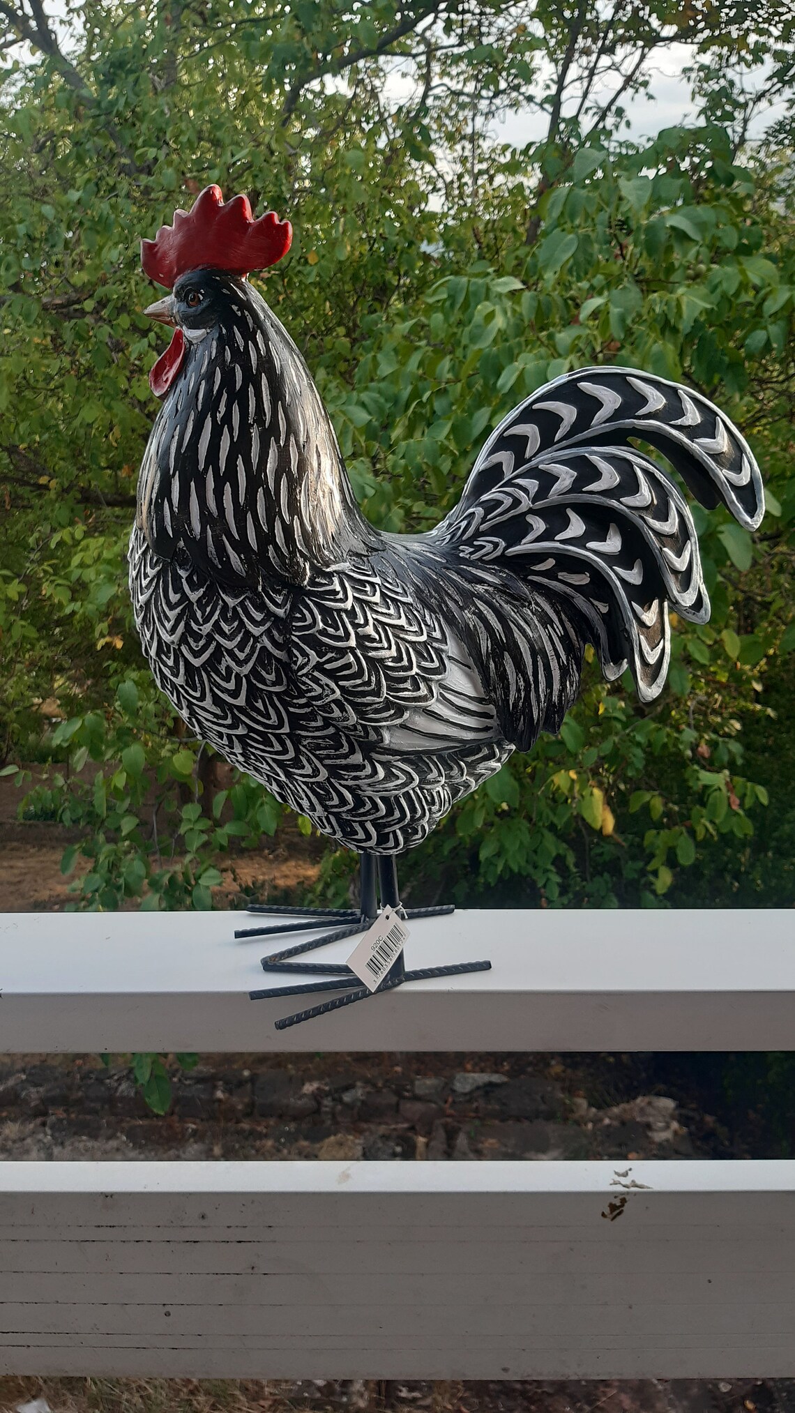 Chicken Rooster Chicken Realistic Figurine Made in France Hand-painted ...