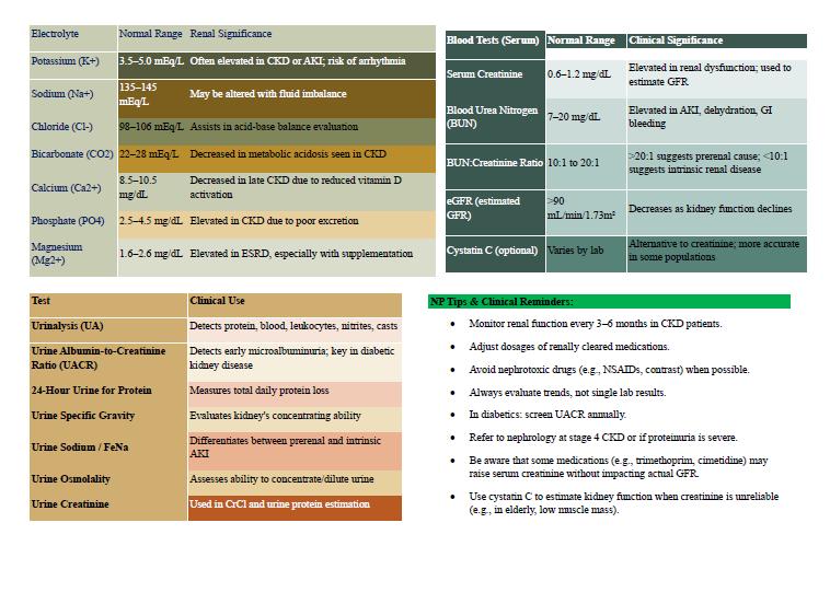 Quick Kidney Labs, CKD Staging, UTI Clues & Renal Interpretation ...