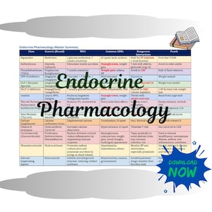 Endocrine Pharmacology Cheat Sheet for NP , PA Students | Digital ...