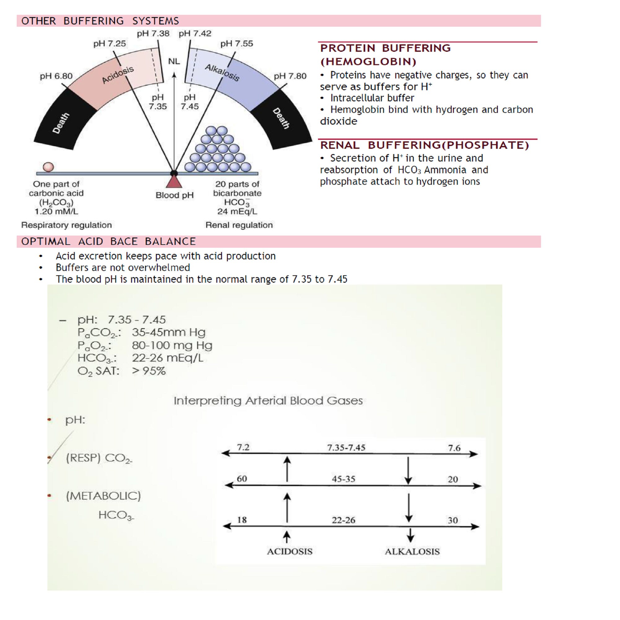 Pathophysiology Acid-base Balance 9 Pages Printable PDF - Etsy