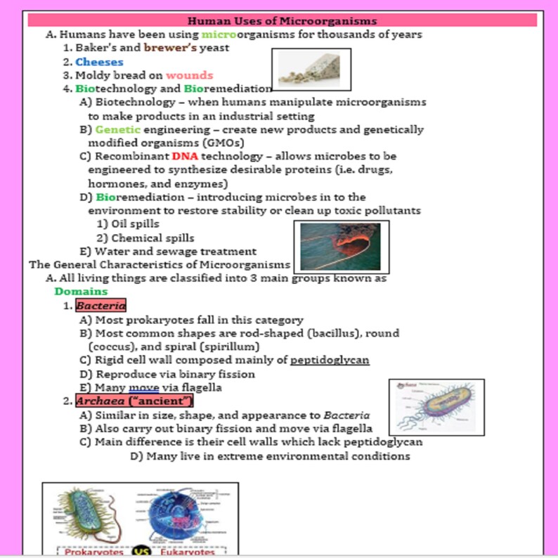 Nursing Microbiology Study Guide 90 Printable Pages - Etsy Nursing Microbiology Study Guide 90 Printable Pages - Etsy