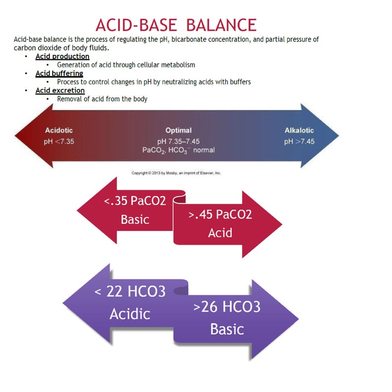 Pathophysiology Acid-base Balance 9 Pages Printable PDF - Etsy