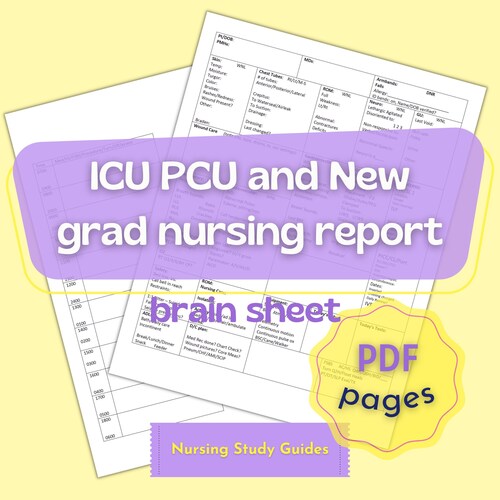 ICU Nurse Report Sheet - Etsy