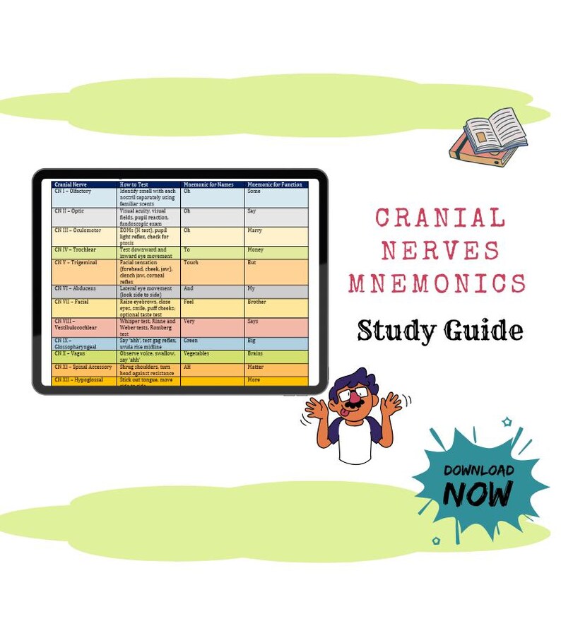 Cranial Nerves Mnemonics, Must-know Visuals ENT Board Review Essentials ...
