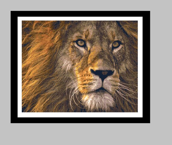 Lion Counted Cross Stitch Pattern Digital Download PDF Chart - Etsy