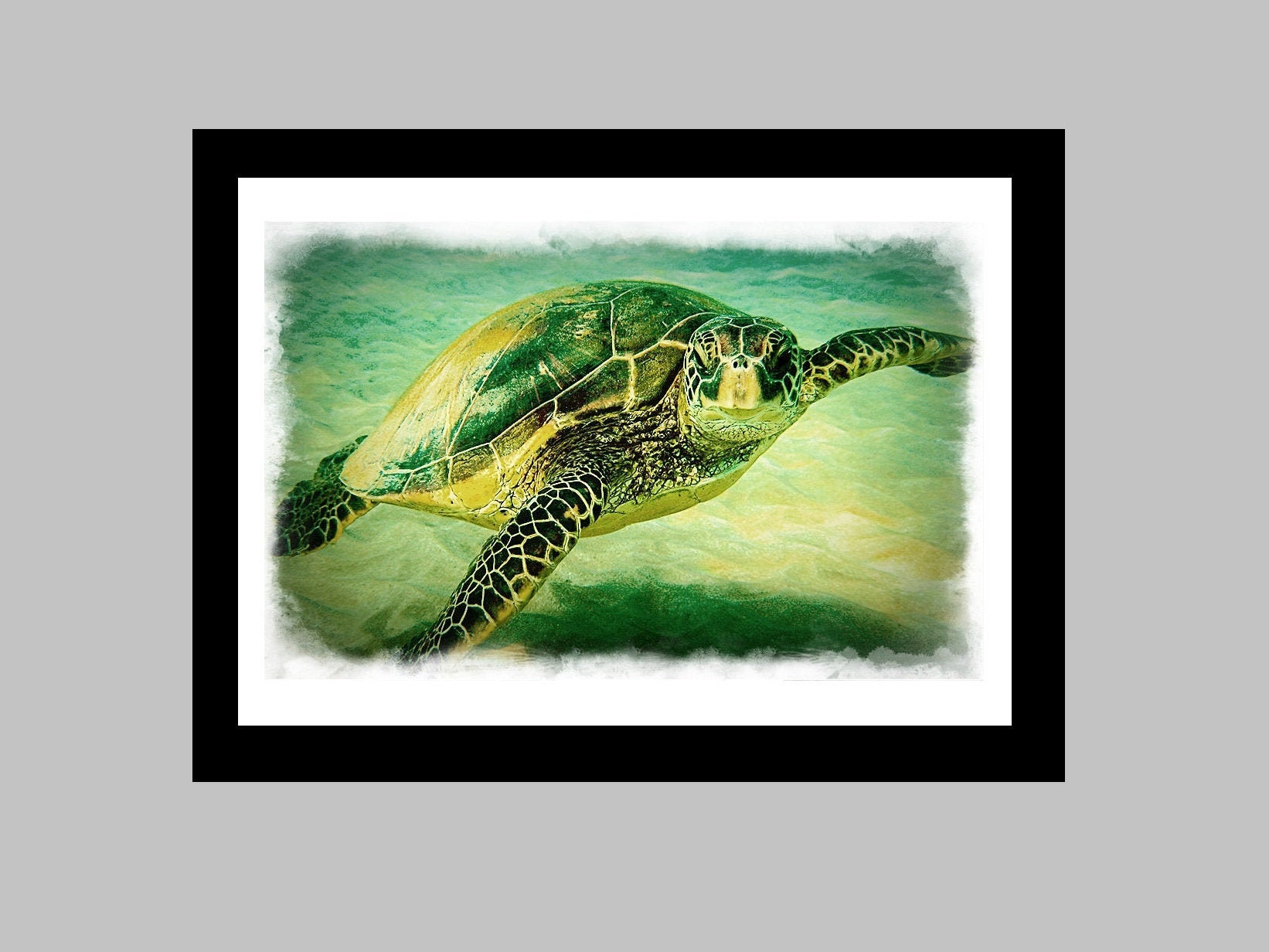 E0018 Sea Turtle Counted Cross Stitch Pattern Digital Download PDF ...