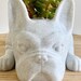 French Bulldog Gifts, Frenchie Gifts, Dog Planter Bulldog, French ...