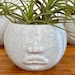 Face Planter Sad Funny Planter Cute Plant Pot With - Etsy