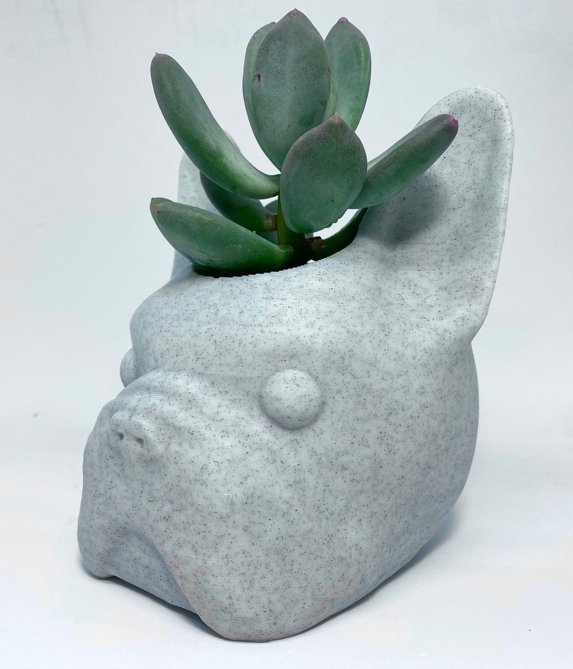 French Bulldog Planter French Bulldog Head Frenchie Planter - Etsy