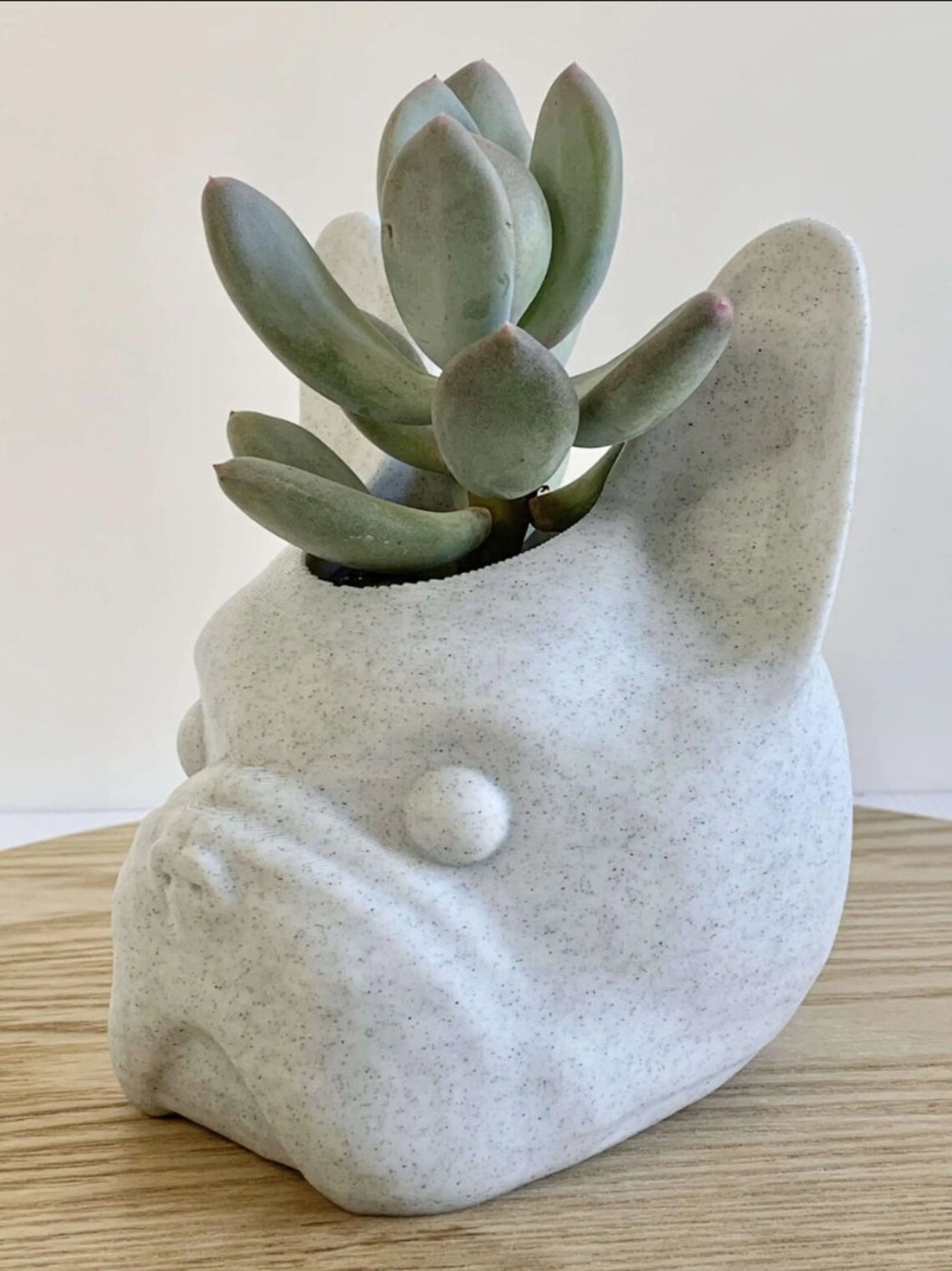 French Bulldog Planter French Bulldog Gifts Frenchie - Etsy