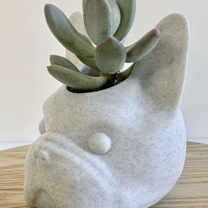 French Bulldog Planter, French Bulldog Gifts, Frenchie Planter ...
