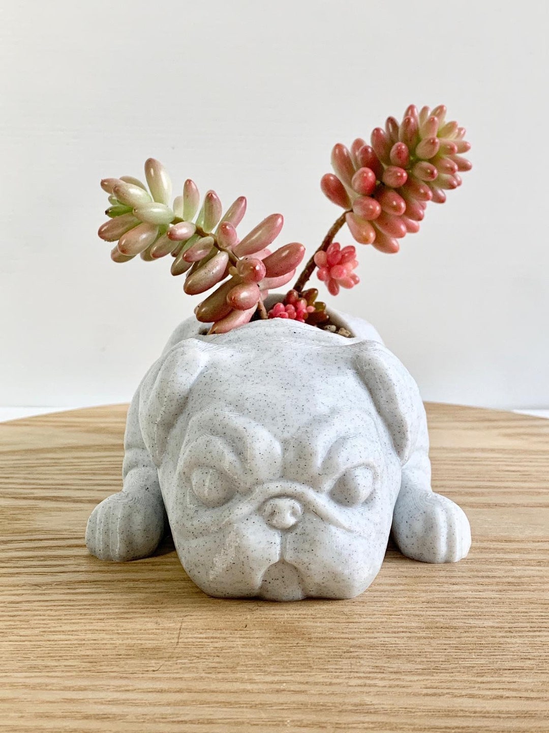 Pug Planter, Succulent Planter, Pots for Plants, Pug Memorial, Dog ...