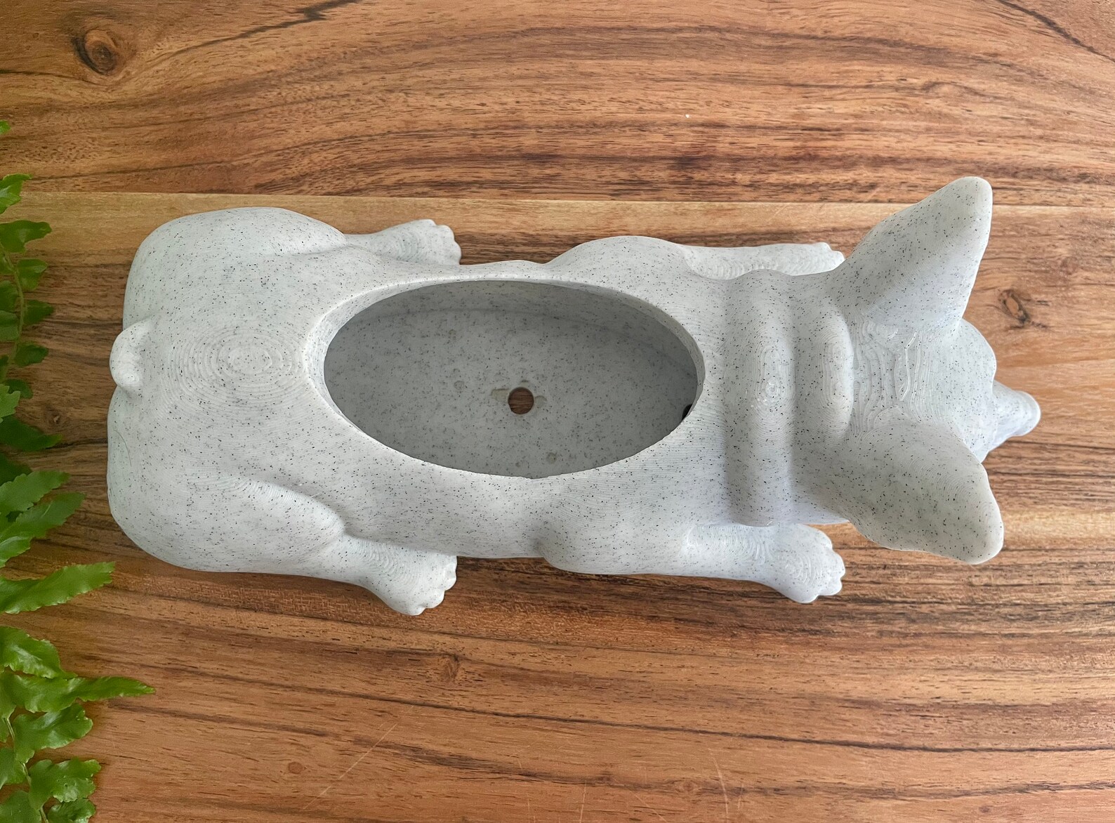 Corgi Planter Corgi Lovers Gift Idea Corgi Succulent - Etsy