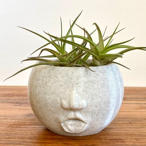 Funny Planter Face Pot Cute Face Planter Pot Head Planter Pot Face Pot ...