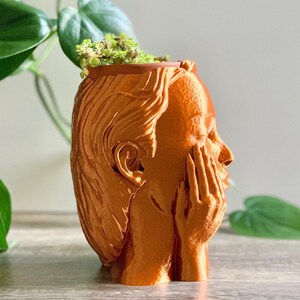 Face Planter - Woman Head Planter - Head Pot - 3D Printed Planter ...