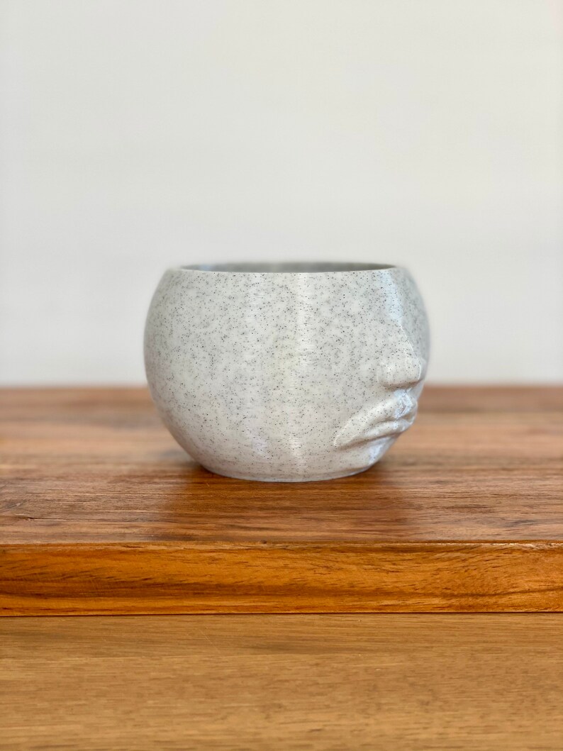 Face Planter Sad Funny Planter Cute Plant Pot with | Etsy