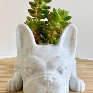 French Bulldog Planter, French Bulldog Gifts, Succulent Planter, Dog ...