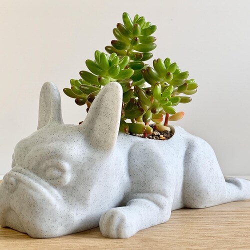 French Bulldog Frenchie Planter Plant Pot . - Etsy