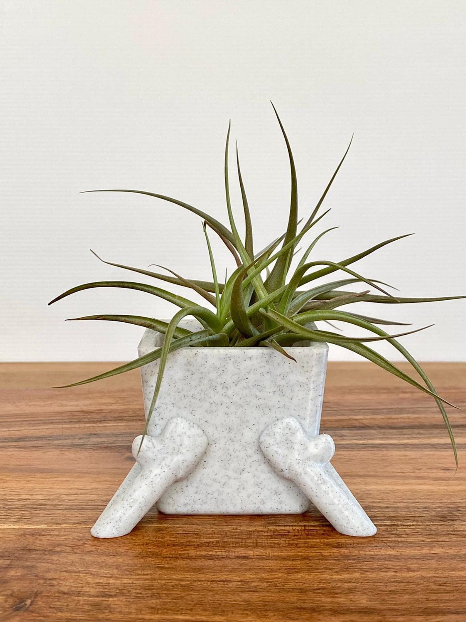 Cute Planter for Succulents Tiny Planter Cute Planter - Etsy