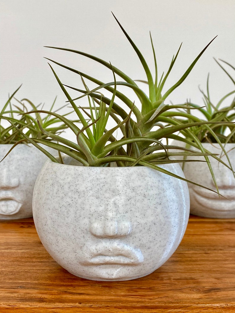 Face Planter Sad Funny Planter Cute Plant Pot with | Etsy
