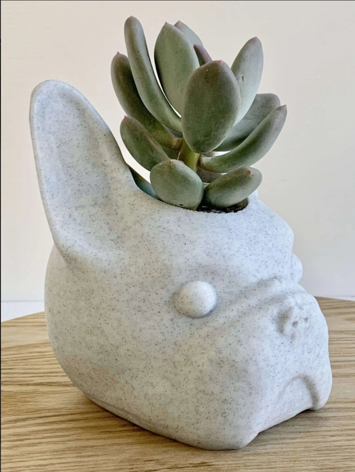 French Bulldog Planter French Bulldog Gifts Frenchie - Etsy