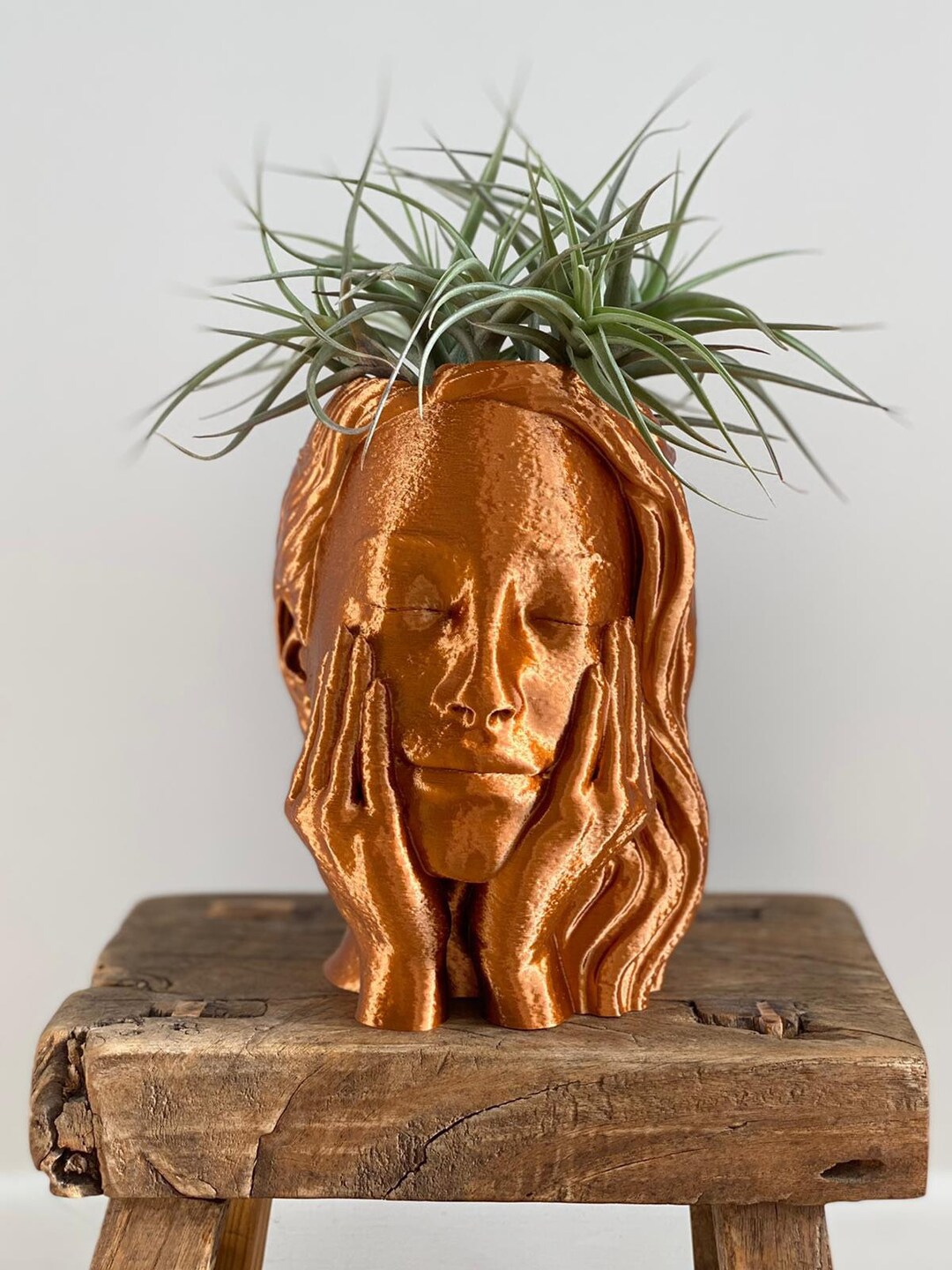 Face Planter - Woman Head Planter - Head Pot - 3D Printed Planter ...