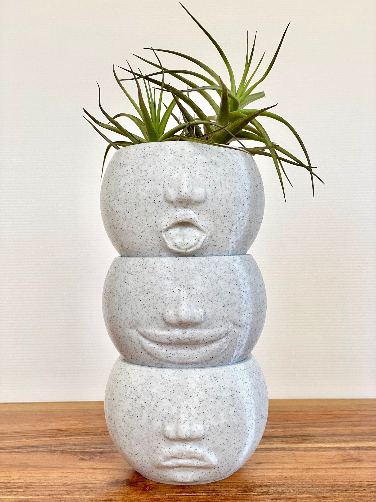 Face Planter Sad Funny Planter Cute Plant Pot With - Etsy