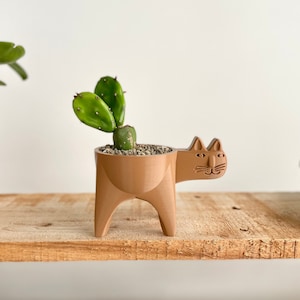 Cat Planter, Cat Cactus Planter, Cat Succulent Planter, Cat Gift Idea ...