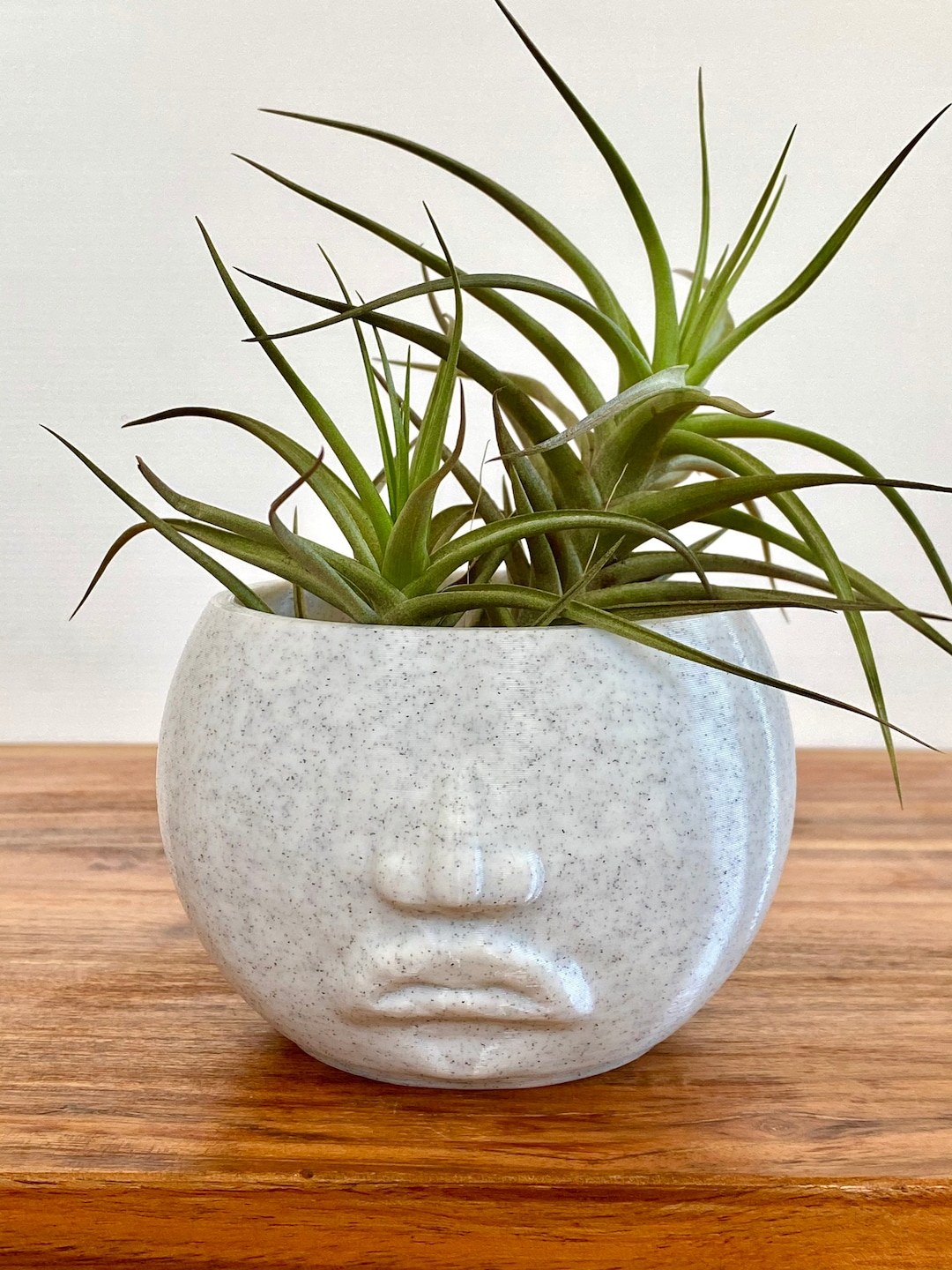 Face Planter Sad Funny Planter Cute Plant Pot With - Etsy