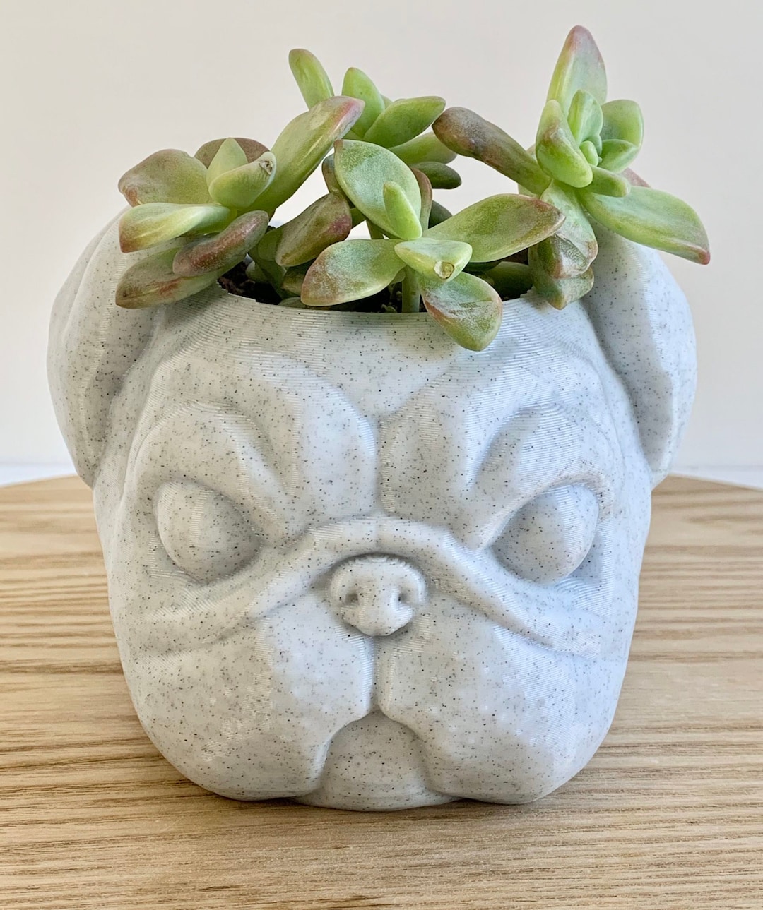 Pug Planter , Pug Gift, Succulent Planter, Dog Planter, Pug Gift for ...
