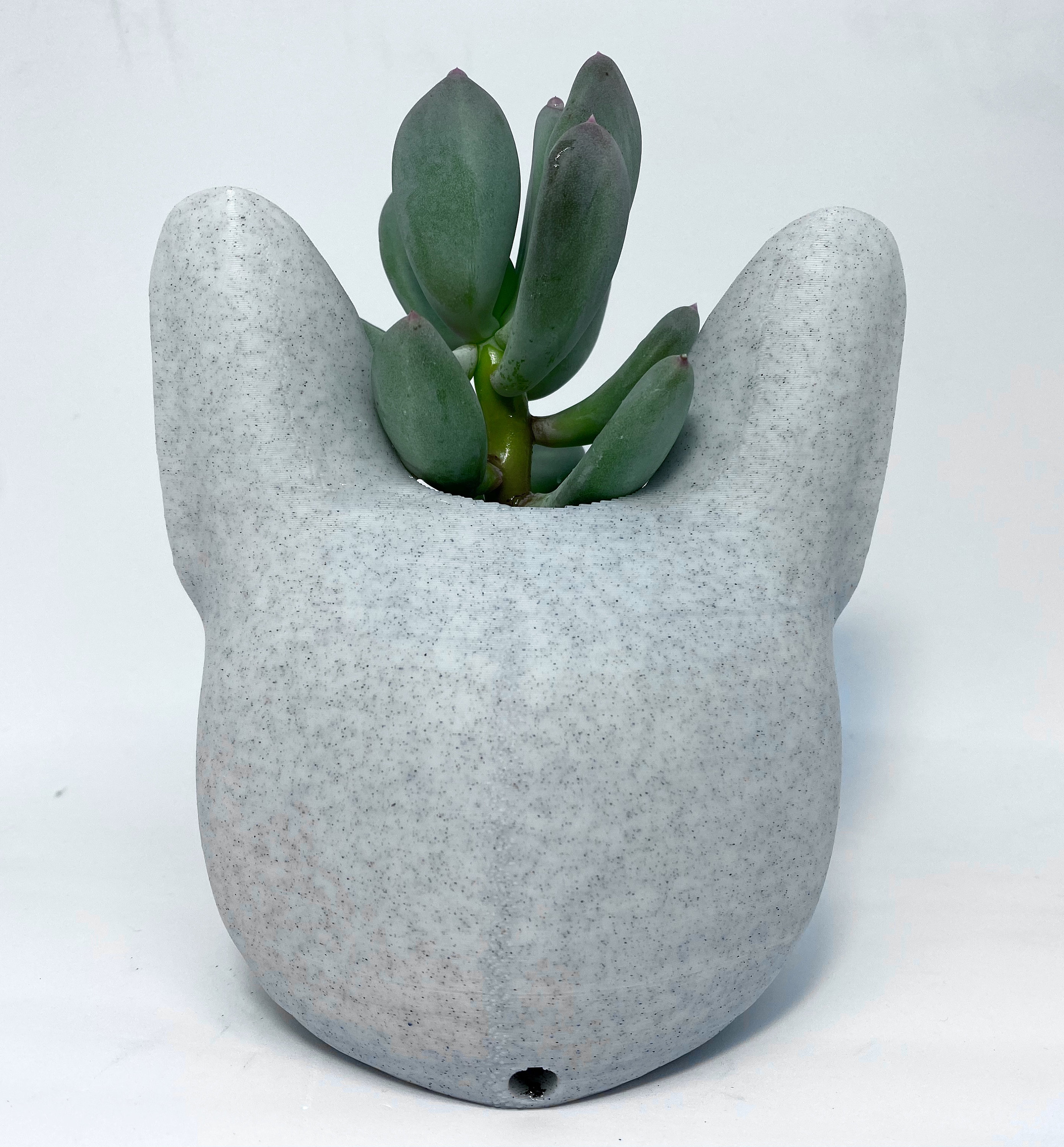 French Bulldog Planter French Bulldog Head Frenchie Planter - Etsy