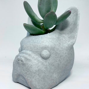 French Bulldog Planter - Frenchie Planter - Dog Planter - Succulent ...