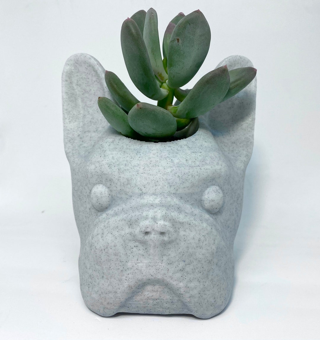 French Bulldog Planter - Frenchie Planter - Dog Planter - Succulent ...