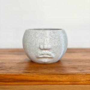 Face Planter Sad Funny Planter Cute Plant Pot With - Etsy